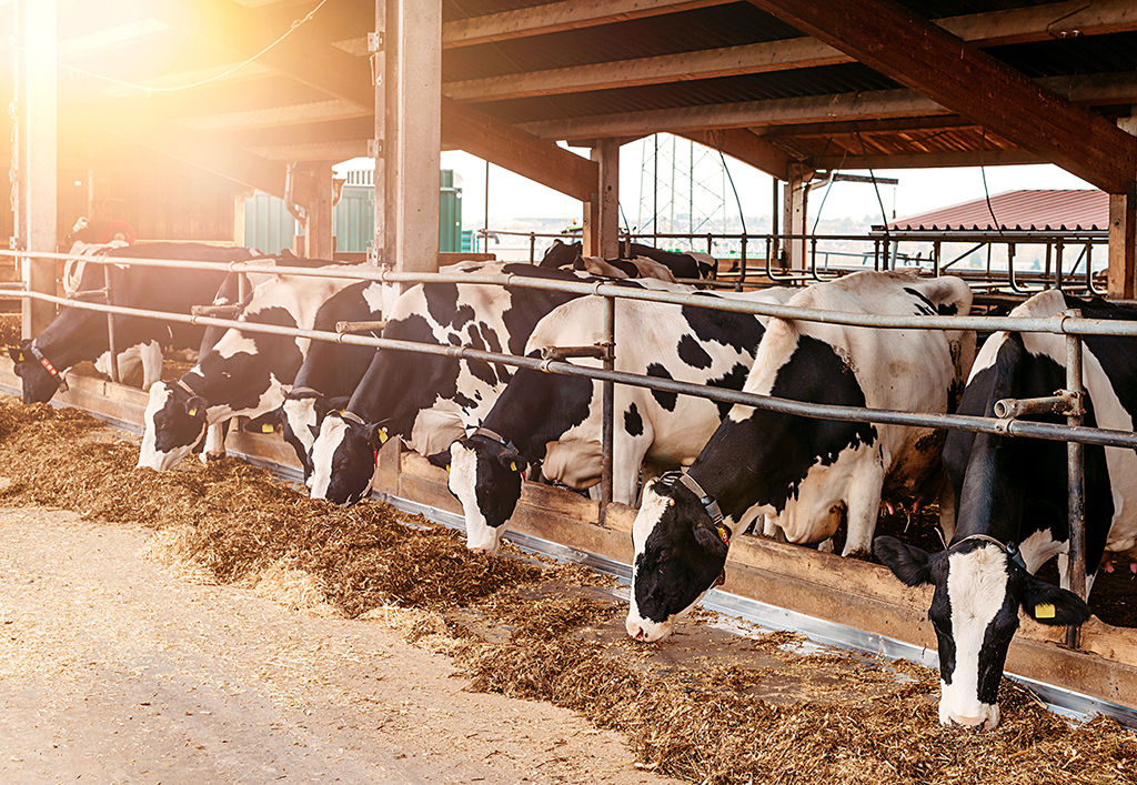 BESS | Farms | EnSmart Power | UPS & ESS | Power Conversion and Energy ...